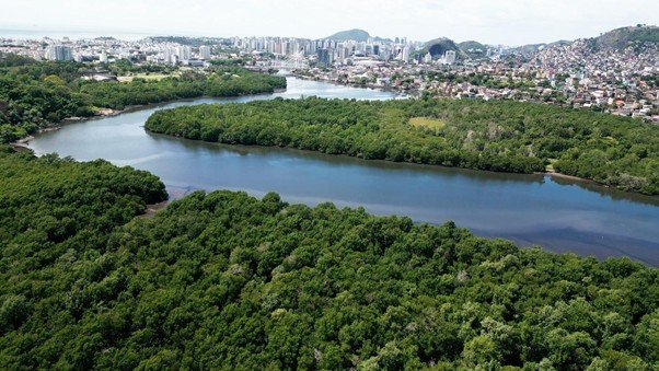 Maior manguezal urbano do Brasil ganha documentário - Nossa Causa